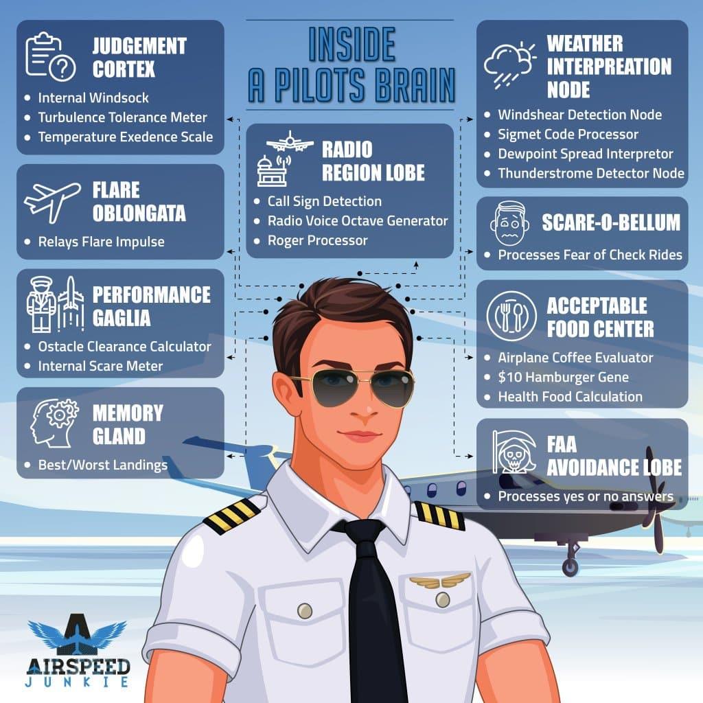 What is Inside a Pilot Brain? - Airspeed Junkie