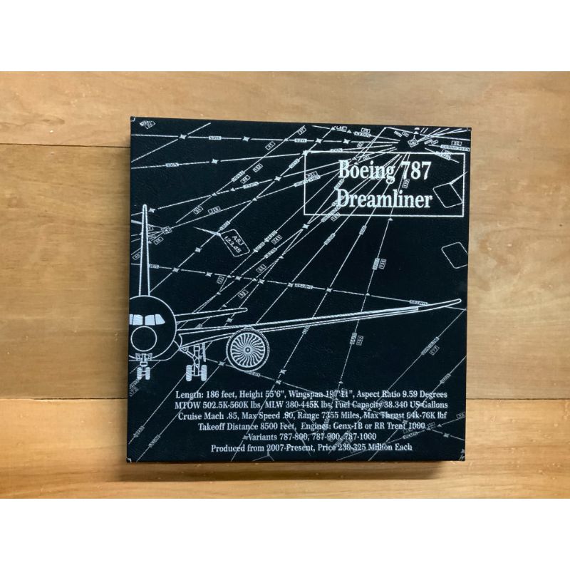 Boeing 787 Dreamliner, Wall Art, Aviation Gift for Airline Pilots ...