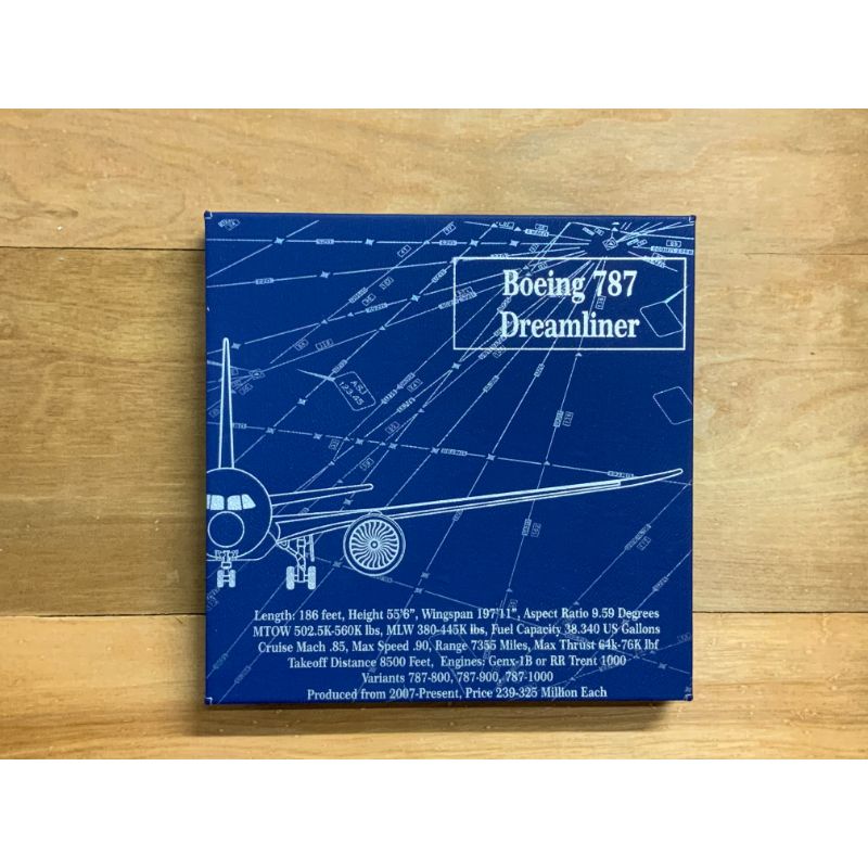 Boeing 787 Dreamliner, Wall Art, Aviation Gift for Airline Pilots ...