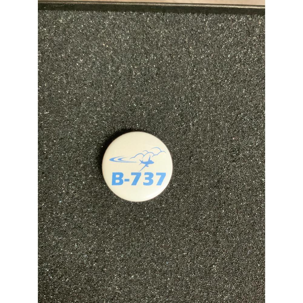 B-737 Pin Button | Air Speed Junkie