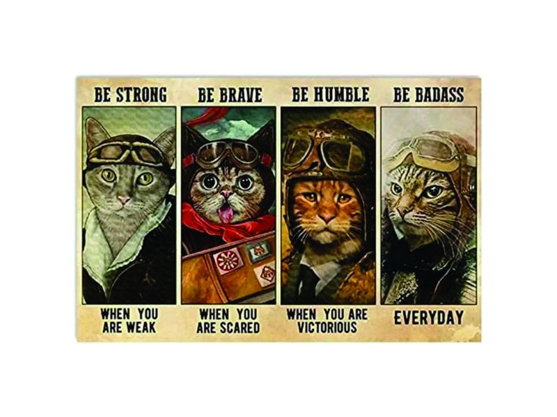 Cat Aviator Sign, Cat Pilot | Air Speed Junkie