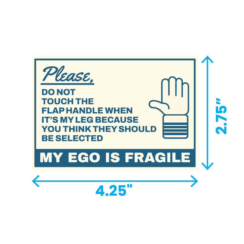 Don't Touch The Flaps Sticker, Airline Stickers, Aviation Decals | Air ...